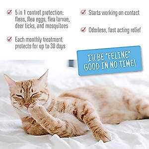 Adams Plus Flea & Tick Spot On for Cats Over 2.5 lbs but Under 5 Pounds 3 Month Supply