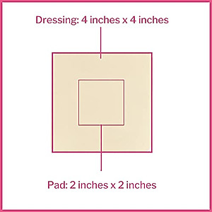 McKesson Hydrocellular Foam Dressings, Sterile, Acrylic Adhesive with Border, 4 in x 4 in, 10 Count, 1 Pack