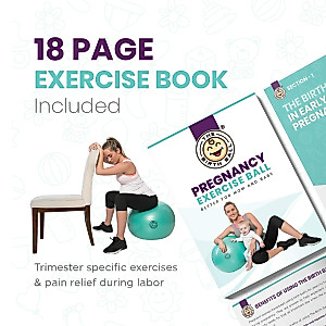 The Birth Ball - Birthing Ball for Pregnancy & Labor - 18 Page Pregnancy Ball Exercises Guide by Trimester - Non Slip Socks - How to Dilate, Induce, & Reposition Baby for Mom 65cm