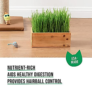The Cat Ladies Cat Grass Kit (Organic) with Rustic Wood Planter, Seed and Soil. Easy to Grow for Indoor or Outdoor Cats, Dogs and Other Pets. Prevent Hairballs and Aid Digestion