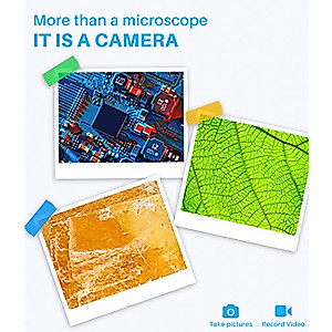 Wireless Digital Microscope Handheld USB HD Inspection Camera 50x-1000x Magnification with Stand Compatible with iPhone, iPad, Samsung Galaxy, Android, Mac, Windows Computer (Blue)