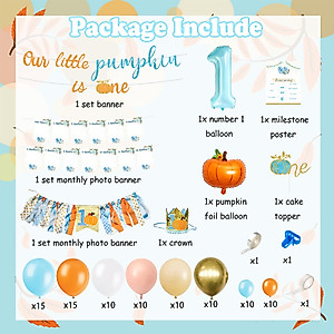 Little Pumpkin 1st Birthday Decorations, Pumpkin First Birthday Decorations for Autumn Fall 1st Birthday Party, Thanksgiving 1st Birthday, Our Little Pumpkin is Turning One Decorations