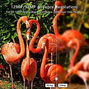 Trail Cameras with Night Vision Motion Activated Waterproof, Game Camera 32MP 1296P, Hunting Camera with 0.1S Trigger Speed, 120°Wide Angle Deer Camera with No Glow Infrared LEDs for Outdoor Wildlife