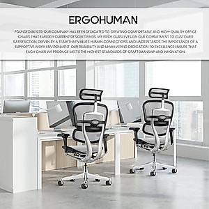 Ergohuman Eurotech ME7ERG GEN2 High Back Mesh Office Chair with Tilt Tension Control, Tilt Lock, Back Angle, Back Height, Synchro Tilt, Seat Height, Seat Depth, and Arm Height Adjustments, Grey
