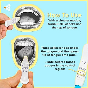 Prime Screen 5 Panel Multi-Drug Oral Fluid Test, One Step Employment and Insurance Testing (AMP, COC, MET, OPI,THC) -EXP 2024-08-24 [5 Pack]