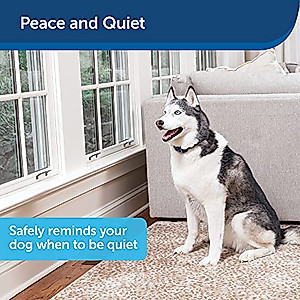 PetSafe Rechargeable Bark Collar, 15 Levels of Automatically Adjusting Static Correction - Rechargeable, Waterproof - Reduces Barking and Whining - for Small, Medium, and Large Dogs over 8 lb