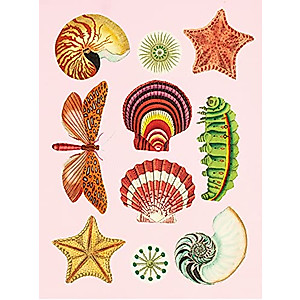 The Antiquarian Sticker Book: Over 1,000 Exquisite Victorian Stickers (The Antiquarian Sticker Book Series)