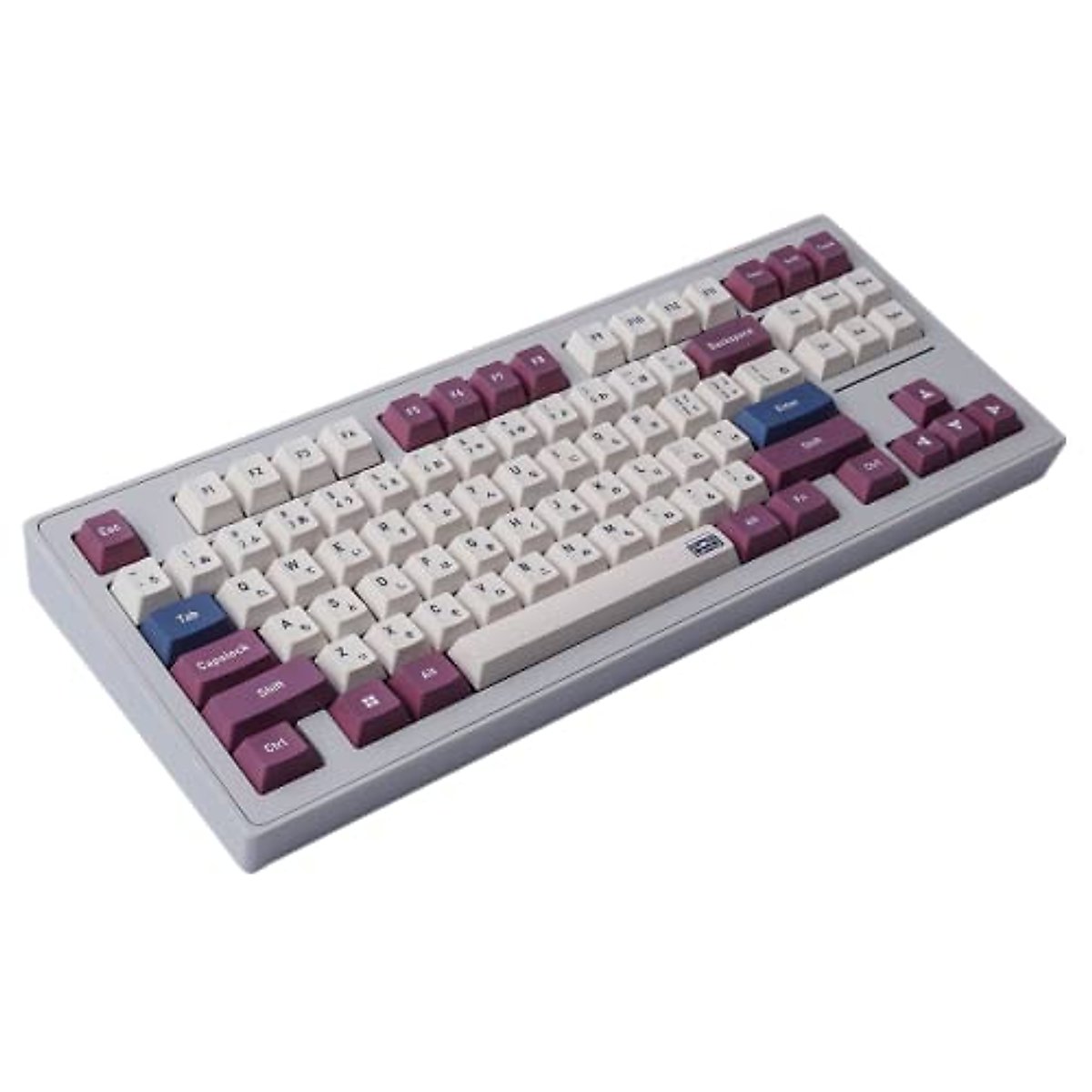 Tsungup PBT Keycaps, 145 Keys Cherry Profile Classic Game Console Keycaps Dye Sublimation with Japanese Keycaps 6.25U 7U Spacebar for Cherry MX Switches Mechanical Keyboards