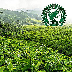 Red Rose Orange Pekoe Tea (216)