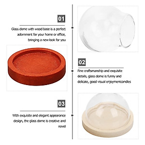 ULTECHNOVO 2pcs Glass Dome Glass Cloche Clear Display Case Cloche Dome Small Display Case Display Cases for Collectibles Glass Case for Display Figures House Decorations for Home Match Cloche