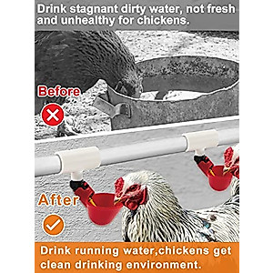 Automatic Poultry Drinking Cups-6 Pack Chicken Waterer Drinking Cups and 6 Pack Chicken Waterer PVC Tee Fittings for Chicken Quail Duck