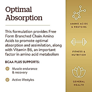 Solgar BCAA Plus, 100 Vegetable Capsules - Muscle & Exercise Support - Free Form Branched Chain Amino Acids with Vitamin B6 for Absorption - Non-GMO, Vegan, Gluten & Dairy Free, Kosher - 50 Servings