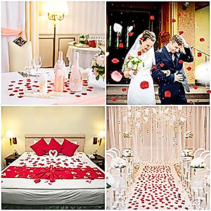 Valentine's Day 1000 Pieces Rose Flower Petals with 12 Pieces LED Love Candle Tealight Candles, 1 Piece USB Night Light for Valentine Day Proposal Wedding Birthday Party Decoration Table Centerpiece