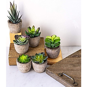 Fake Plant For Desk Decor, Faux Plants Indoor, Succulents Plants Artificial, Small Fake Plants For Office, Fake Succulent Plants, Fake Cactus Plant in Pots 2.3" - 6 Pc Set Mini Fake Succulents