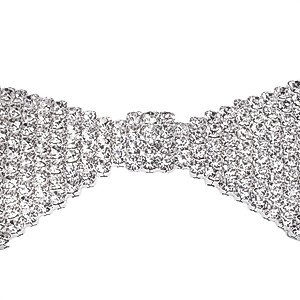 Spinningdaisy Bowtie Ribbon Choker for Women and Some Playful Men