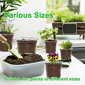JERIA 30 Pack 6/5/4Inch Clear Nursery Pots with Drainage Holes, Clear Plant Pot for Planting, Transparent Plastic Plant Pots,Durable Seed Starting Pot for Succulents