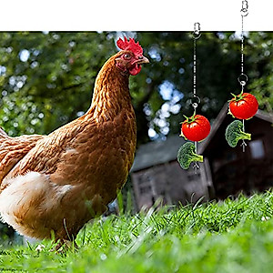 KIEYYRYT 4 PCS Xylophone Chicken Toys for Coop, Veggies Skewer, Fruit Holder, Vegetable Hanging Feeder for Chicken Coop Accessories, Chicken Bells Toys for Hens