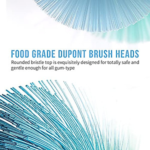 LANDWIND replacement toothbrush heads, fit Sensitive Gums and Teeth, Dupont Nylon Harmless for LANDWIND Sonic Electric Toothbrush, 2 Pro+2 Comfy Electric Toothbrush Heads -4 Pack (Black)