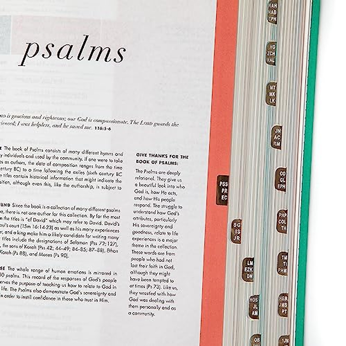 CSB She Reads Truth Bible, Emerald Cloth Over Board, Indexed, Limited Edition, Black Letter, Full-Color Design, Wide Margins, Journaling Space, Devotionals, Reading Plan, Easy-to-Read Serif Type