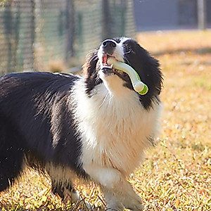 ARITHBIRD Upgraded Dog Chew Toys for Aggressive Chewers,2 Pack Bacon Flavored Dog Bones for Small Meduium Large Breed Dogs (25-60 lbs),Nylon Puppy Teething Toys