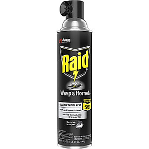 Raid Wasp & Hornet Killer Spray, 17.5 OZ (3 Pack)