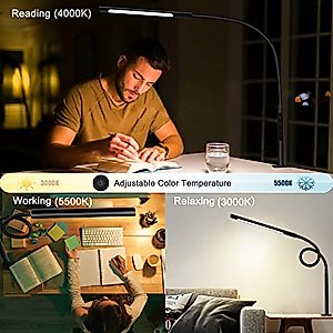 AmazLit Desk Lamp, Eye-Caring Desk Light, Gooseneck Lamp with Clamp, Adjustable Color Temperature & Brightness, Clip on Lamp with Memory & Timer Function, Clamp Lamp for Home Office, 12W, Black