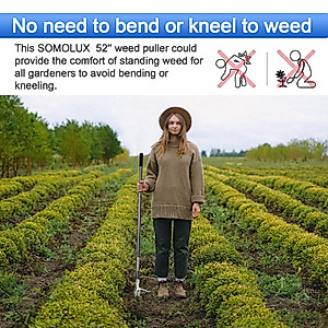 SOMOLUX 52'' Weed Puller Stand-up Weeder Weeding Tool for Gardening Heavy-Duty Stainless Steel Claw with Long Metal Handle Weed Remove Tool for Lawn/Yard and Garden Without Bending or Kneeling
