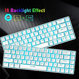 60% Mechanical Gaming Keyboard and Mouse Combo with Mini Ergonomic Anti-ghosting 68Key Multi Backlight 6400DPI Green Honeycomb Mice Type-C Wired for PC Mac Gamer Office Typist(White Blue/Blue Switch)