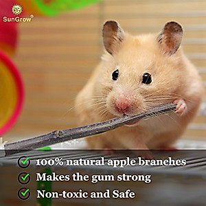 SunGrow Apple Sticks, 200g (7 oz) Wood Chew Sticks for Rabbits, Chinchillas, Bunny, Hamster, Squirrel, Guinea Pigs, 6" Small Animals Molar Pet Chew Toys Treat Sticks for Teeth Grinding, 40 Per Pack