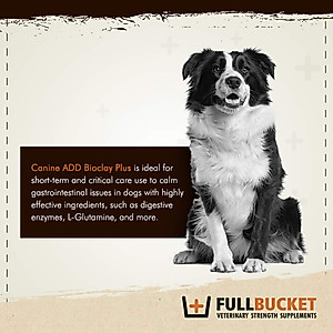 FullBucket Canine ADD Bioclay Plus, 32.5 mL Tube