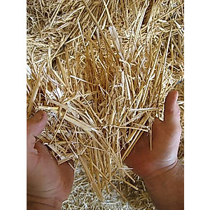 Premium 100% Natural Wheat Straw Grass Harvested 2022, Farmer Direct- Excellent Animal Bedding, Garden Cover, Mulch and Farm Wheat Straw 5lbs. Straw Shipped