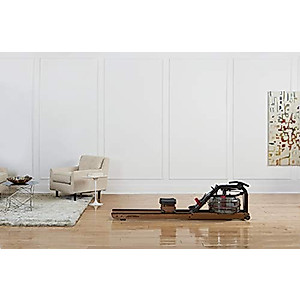 Life Fitness Row HX Trainer for Indoor Rowing Workout