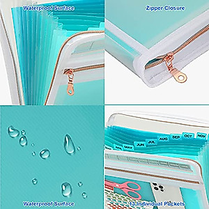 CCidea Expanding File Folder with 13 Pocket, Zipper Closure Accordion Document Organizer,Letter A4 Paper Document Accordion Folder（Green）