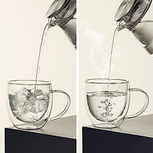 CNGLASS 8.5oz Glass Coffee Mugs,Double Wall Insulated Glass Mugs with Handle,Clear Espresso Mugs for Latte,Cappuccino,Tea Bag,Set of 4