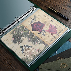 12 Packs Letter Size Binder Pockets, 3 Holes 11.4in x 9.5in Zipper Binder Folders for 3 Ring Binder, Waterproof Clear PVC Binder Pouch Loose Leaf Filing Document Bag