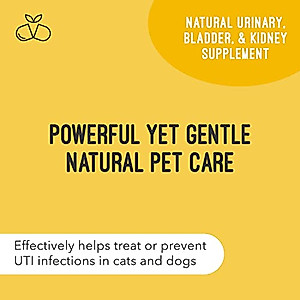 UroMAXX, Cat & Dog Urinary Tract Infection Treatment, Bladder & Kidney Support for Dogs and Cats, Powerful yet Gentle Pet Care, With Liquid Cranberry & Glucosamine, Chicken Flavor, 6 oz Bottle, 1 Pack