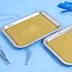 6Pack Premium Aluminum Dissection Pan with Wax, Disection Trays for Laboratory - Students - Science Experiments, 7" W 10" L