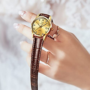 Gold Watches for Women Diamond Face Quartz Stainless Steel Slim Mini Watches Roman Numeral Water Resistant Simple Female Watches with Leather Band Luxury Women Golden Watches Brown Strap Easy Reader