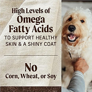 Merrick Premium Grain Free Dry Adult Dog Food, Wholesome And Natural Kibble With Real Lamb And Sweet Potato - 4.0 lb. Bag