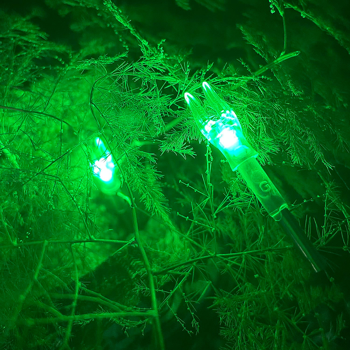 KEAUP G/4.2mm Lighted Nocks for Arrows with .165".204" Inside Diameter 3PCS with X Bushings,Screwdriver Included (Green)