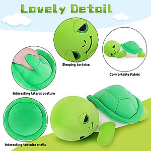 Achwishap Turtle Stuffed Animal,Cute Plushies Turtle Pillow,Cute Stuffed Animal Plush Toys Turtle Plush,Soft Tortoise Body Pillow Gifts for Kids Adults Birthday(Tortoise,14”)