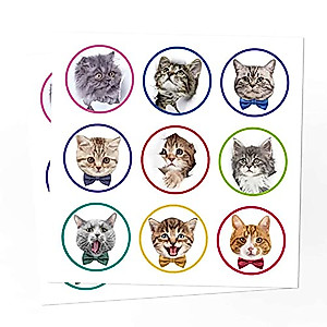 12pcs Small Paper Bags 3D Cat Printed Candy Cookie Buffet Paper Bag Animal Theme Kids Carry Food Party Favors Kraft Bags