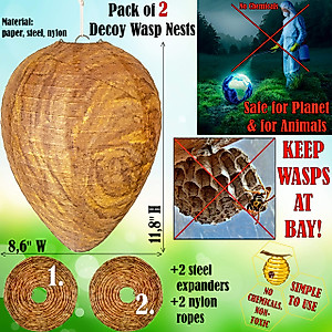 Wasp Nest Decoy - 2 Pack - Hanging Fake Wasp Nest
