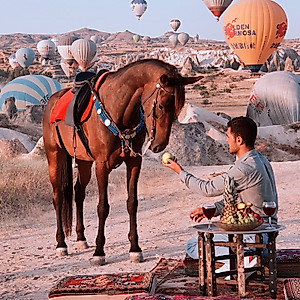 Premium Horse Blanket Sheet Leg Straps, 2 Pcs Adjustable 27.55" to 55" Length, Replacement Stretchy Belly Strap with Single Swivel Snaps