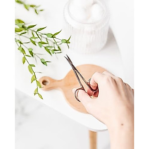 Amazon Basics Beauty Scissors, Stainless Steel, Silver