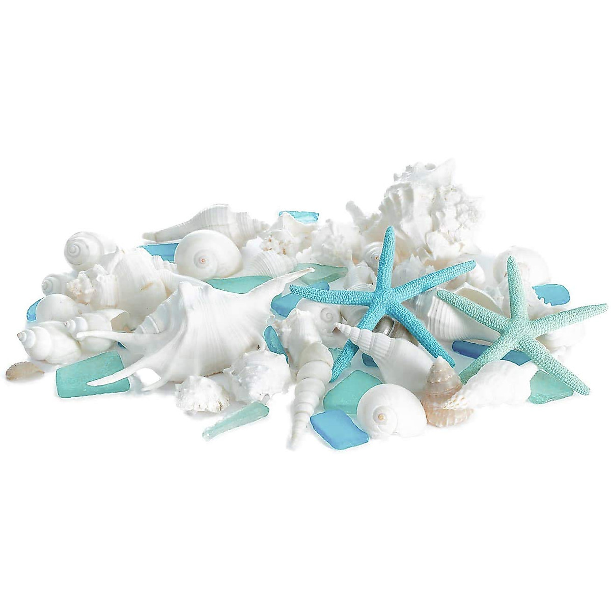 Real Mixed Beach Seashells with Blue & Green Starfish & Aqua and Blue Sea Glass | White Decorative Sea Shell Décor & Blue Seaglass Pieces | Seashell Wedding | Plus Free Nautical eBook by Joseph Rains