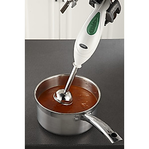 Oster FPSTHB2602 Accentuate Two Speed Hand Blender, 250-watt, Green