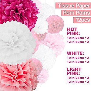 Pink Paper Pom Poms - 10",12" Tissue Pom Poms Decorations for Bachelorette Baby Shower Girl Party Hanging Decor - 12 Piece Set
