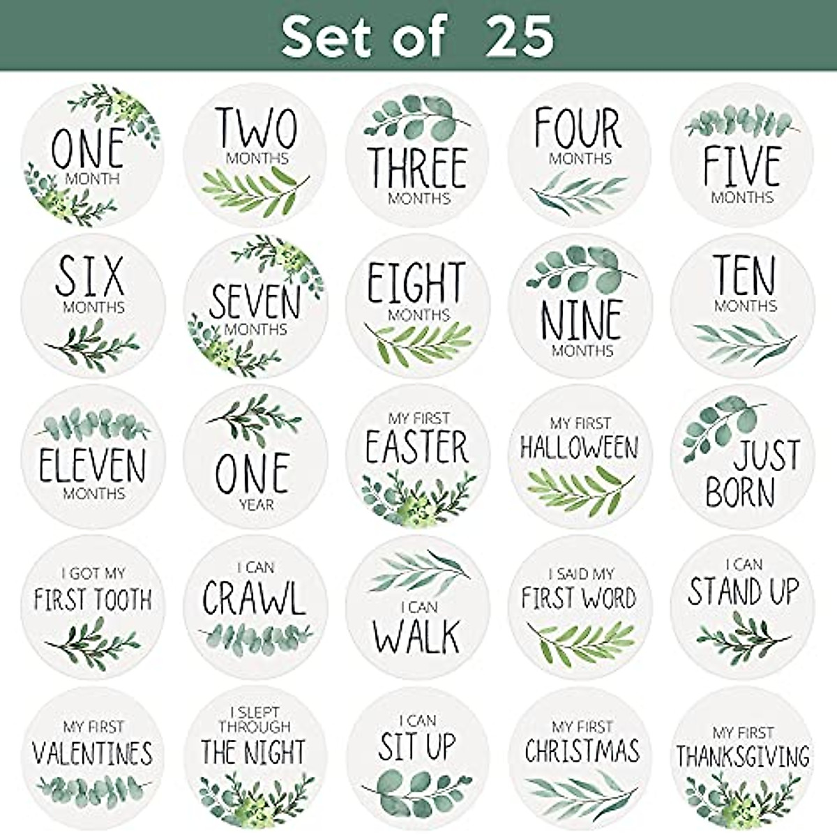 Baby Monthly Stickers | Greenery Botanical Baby Milestone Stickers | Boho Newborn Boy or Girl Stickers | Eucalyptus Month Stickers for Baby Boy | Gender Neutral | Unisex Sage Green Newborn Monthly Milestones (Set of 25)