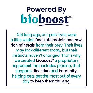 Solid Gold Dog Allergy Relief Chews - Dog Itch Relief with Omega 3 Wild Alaskan Salmon Fish Oil + Colostrum & Beta Glucan - Anti Itch & Hot Spots + Seasonal Allergies - Bacon Flavor - 120 Count